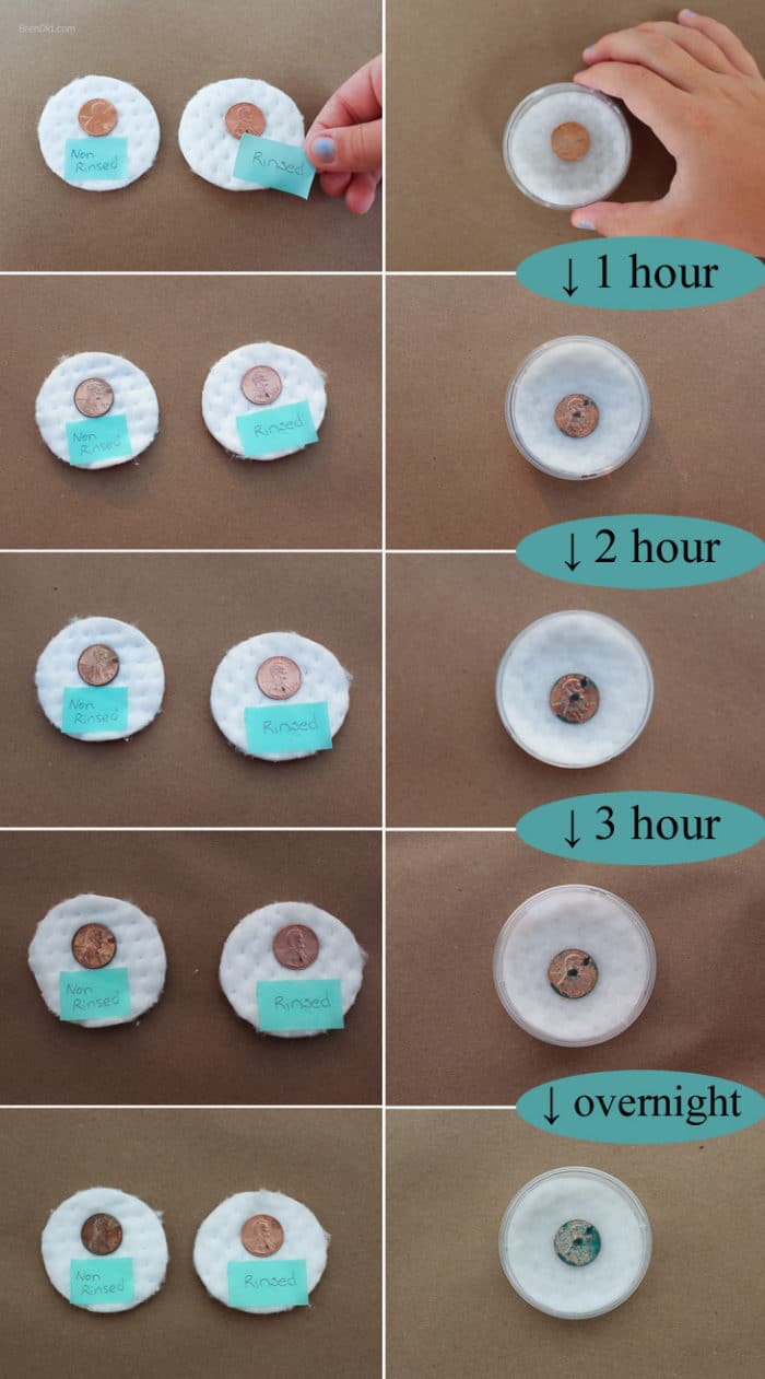 The Best Science Fair Projects For Middle School - See Mama Go